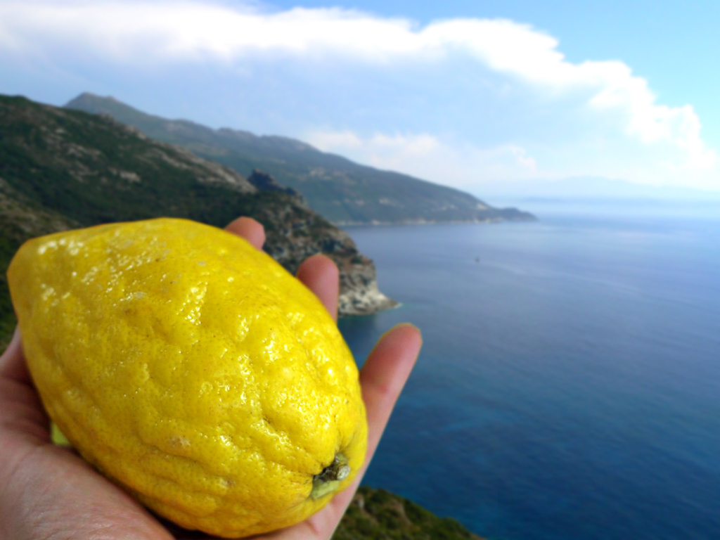 CEDRATS – memoria ebraica di a Corsica